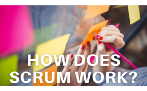 How Scrum works and Where Scrum can be used? What is Scrum